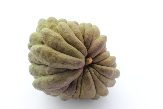 「Attier」の画像 - 34 件の Stock 写真、ベクターおよびビデオ | Adobe Stock