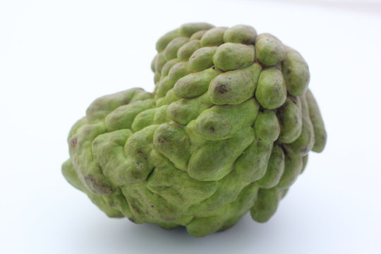 「Attier」の画像 - 34 件の Stock 写真、ベクターおよびビデオ | Adobe Stock