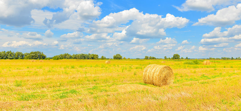 "Hay Background" Bilder – Durchsuchen 198 Archivfotos, Vektorgrafiken ...