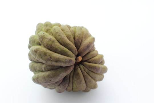 「Attier」の画像 - 34 件の Stock 写真、ベクターおよびビデオ | Adobe Stock