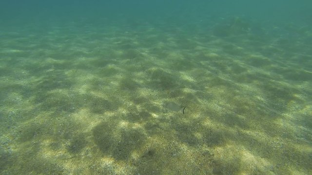 Sarago Images – Browse 210 Stock Photos, Vectors, and Video | Adobe Stock