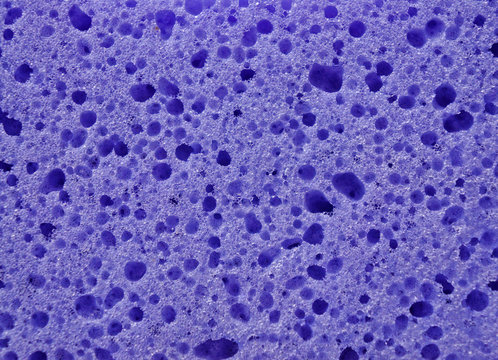 Purple.sponge Images – Browse 11,233 Stock Photos, Vectors, and Video ...