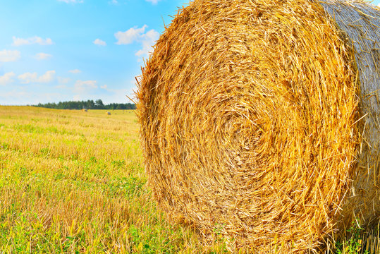 "Hay Background" Images – Browse 208 Stock Photos, Vectors, and Video ...