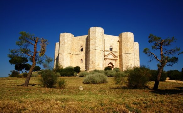 รูปภาพCorato – เลือกดูภาพถ่ายสต็อก เวกเตอร์ และวิดีโอ75 | Adobe Stock