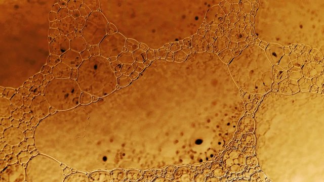 Gazowany Bilder – Durchsuchen 87 Archivfotos, Vektorgrafiken und Videos ...