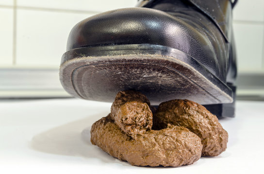 รูปภาพCrap – เลือกดูภาพถ่ายสต็อก เวกเตอร์ และวิดีโอ211,659 | Adobe Stock