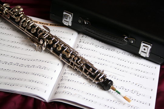 Oboe Images – Browse 4,199 Stock Photos, Vectors, and Video | Adobe Stock