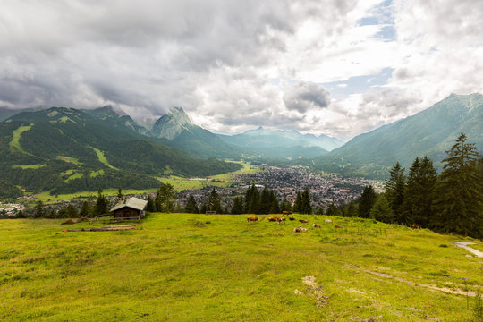 รูปภาพWiederkauen – เลือกดูภาพถ่ายสต็อก เวกเตอร์ และวิดีโอ98 | Adobe Stock