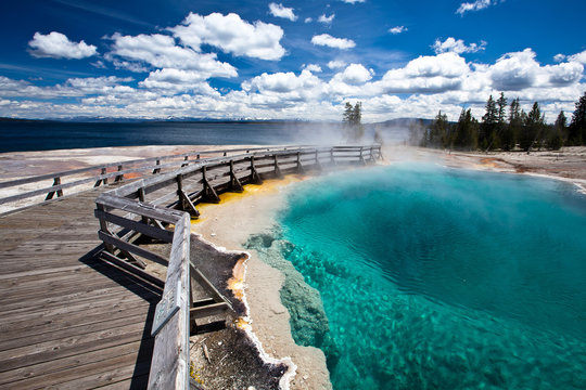 Condone 이미지 – 찾아보기 599 스톡 사진, 벡터 및 비디오 | Adobe Stock