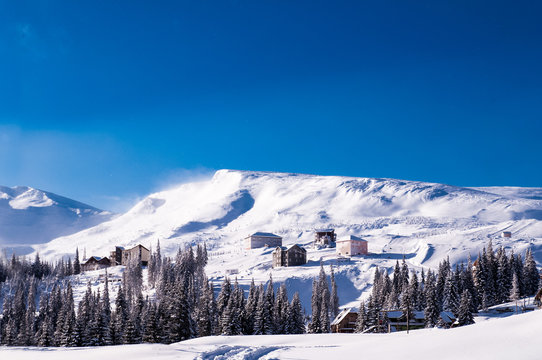 Stog Images – Browse 64 Stock Photos, Vectors, and Video | Adobe Stock