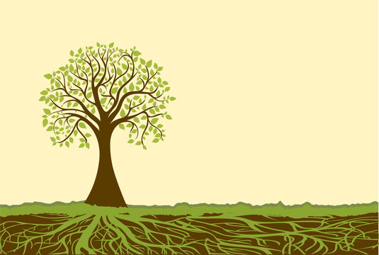 Blank Tree Outline With Roots Images – Browse 159 Stock Photos, Vectors ...