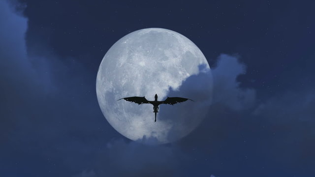 Night Fury Dragon Flying