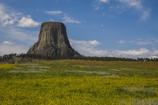 "Devils Tower" Images – Browse 1,300 Stock Photos, Vectors, and Video ...