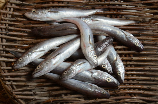 รูปภาพColinot – เลือกดูภาพถ่ายสต็อก เวกเตอร์ และวิดีโอ7 | Adobe Stock