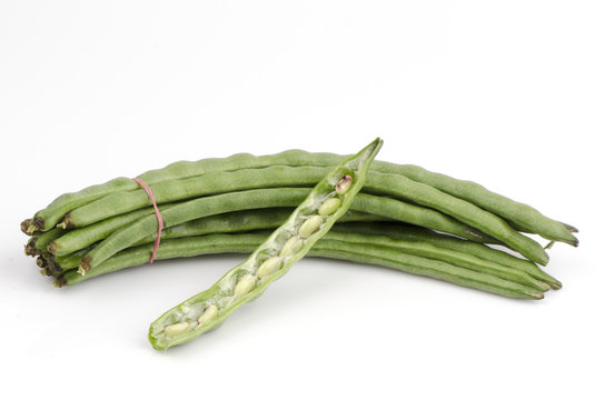 Utong Images – Browse 10 Stock Photos, Vectors, and Video | Adobe Stock