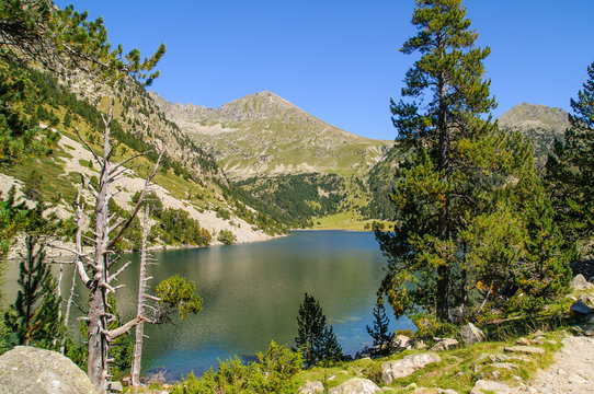 Imagens de Estany – Explore Fotografias do Stock, Vetores e Vídeos de ...