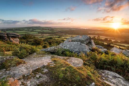 Hile Bilder – Durchsuchen 3,331 Archivfotos, Vektorgrafiken und Videos ...