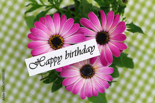 Pink Gerber Daisy Cards