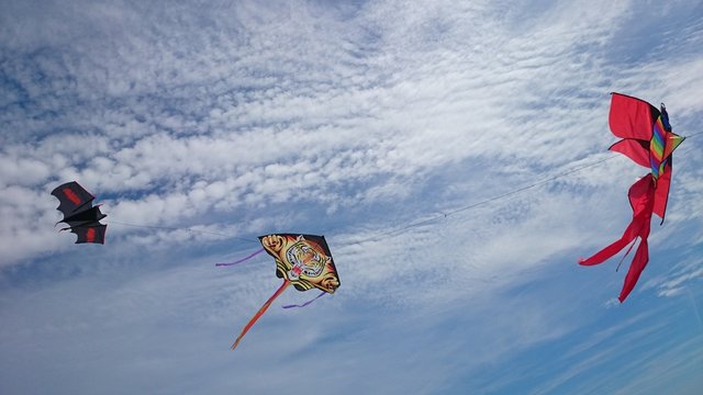 「Flugdrachen」の写真素材 | 471件の無料イラスト画像 | Adobe Stock