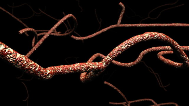 Ebola Bilder – Durchsuchen 31,547 Archivfotos, Vektorgrafiken und ...