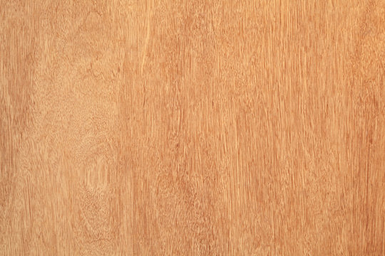 "Veneer Sheet" Images – Browse 71 Stock Photos, Vectors, and Video ...
