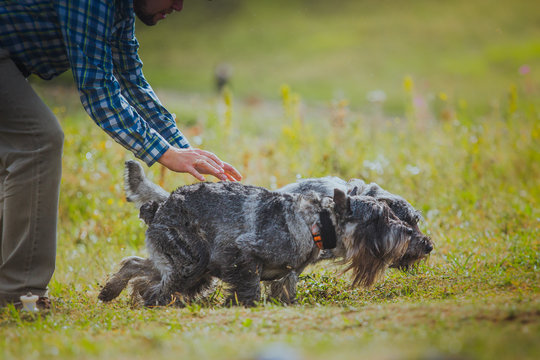 รูปภาพArgant – เลือกดูภาพถ่ายสต็อก เวกเตอร์ และวิดีโอ383 | Adobe Stock