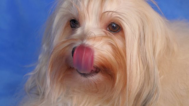 รูปภาพShable – เลือกดูภาพถ่ายสต็อก เวกเตอร์ และวิดีโอ78 | Adobe Stock