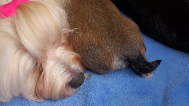 รูปภาพShable – เลือกดูภาพถ่ายสต็อก เวกเตอร์ และวิดีโอ78 | Adobe Stock