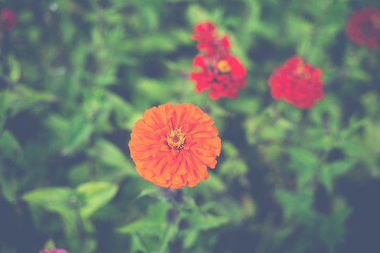 Vinate Images – Browse 30 Stock Photos, Vectors, and Video | Adobe Stock