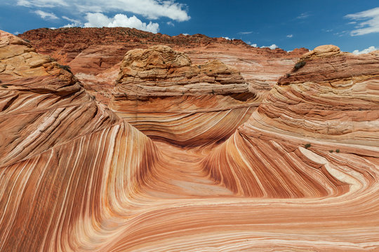 Fotolia Images – Parcourir 6,771 le catalogue de photos, vecteurs et ...