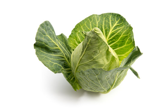 Spitzkohl Images – Browse 640 Stock Photos, Vectors, and Video | Adobe ...