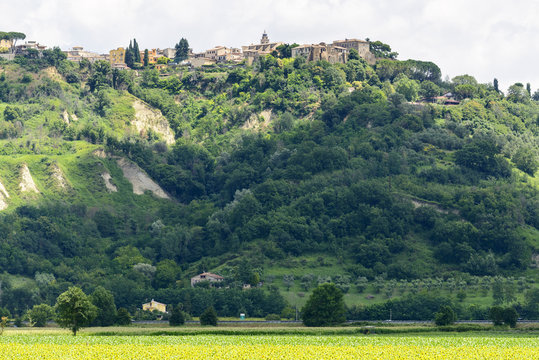 รูปภาพSabina – เลือกดูภาพถ่ายสต็อก เวกเตอร์ และวิดีโอ3,543 | Adobe Stock
