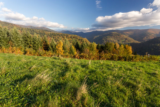 Autonme Images – Browse 59 Stock Photos, Vectors, and Video | Adobe Stock