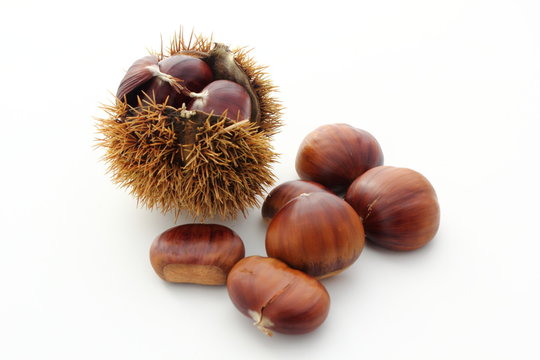 Bogue Images – Browse 1,782 Stock Photos, Vectors, and Video | Adobe Stock