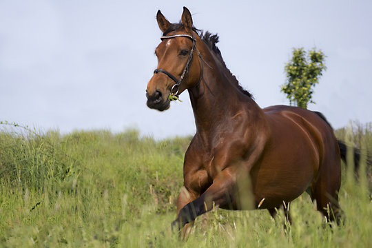 Mila Bilder – Durchsuchen 2,160 Archivfotos, Vektorgrafiken und Videos ...