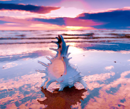 alma_sacra photos, images, assets | Adobe Stock