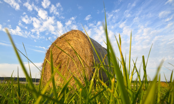 「Heurolle」の画像 - 192 件の Stock 写真、ベクターおよびビデオ | Adobe Stock