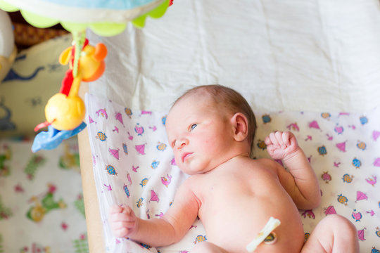 Navel-String Images – Browse 62 Stock Photos, Vectors, and Video ...