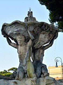 รูปภาพTritoni – เลือกดูภาพถ่ายสต็อก เวกเตอร์ และวิดีโอ903 | Adobe Stock