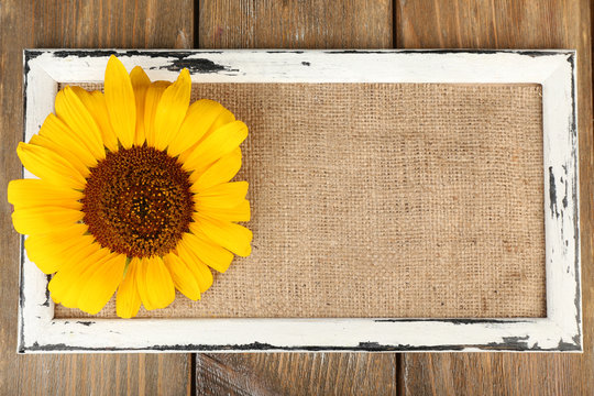 Sunflower Frame Images – Browse 43,244 Stock Photos, Vectors, and Video ...