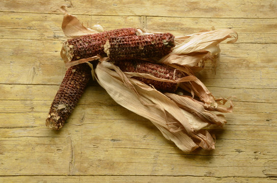 「Olote」の写真素材 | 19件の無料イラスト画像 | Adobe Stock