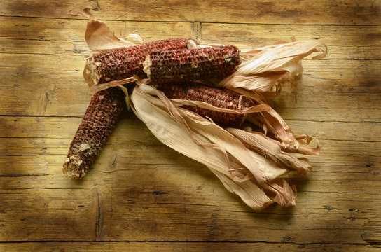 「Olote」の写真素材 | 19件の無料イラスト画像 | Adobe Stock