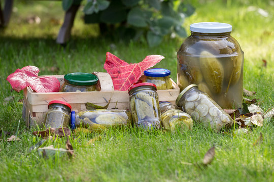 Nobod Images – Browse 357 Stock Photos, Vectors, and Video | Adobe Stock