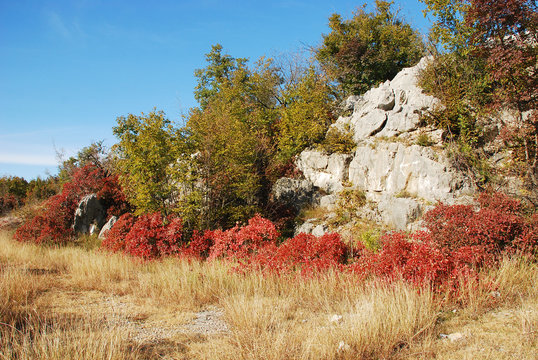 Carso Images – Browse 1,281 Stock Photos, Vectors, and Video | Adobe Stock