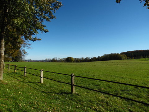 Pferdekoppel-Bilder: Stock-Fotos & -Videos. | Adobe Stock