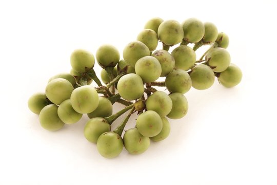 Susumba Bilder – Durchsuchen 13 Archivfotos, Vektorgrafiken und Videos ...