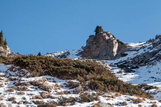 รูปภาพChukur – เลือกดูภาพถ่ายสต็อก เวกเตอร์ และวิดีโอ146 | Adobe Stock