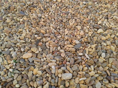 LAS 276 MEJORES IMÁGENES, FOTOS DE ARCHIVO Y VECTORES DE Gravilla ...