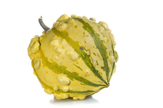 Coloquinte bilder – Bläddra bland 668 stockfoton, vektorer och videor ...