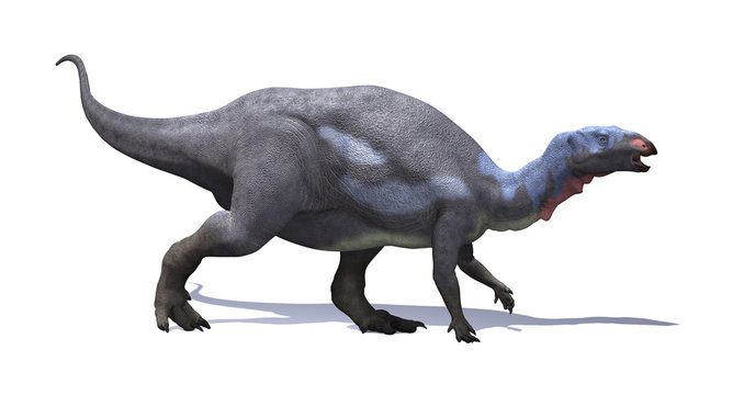 Camptosaurus Dinosaur